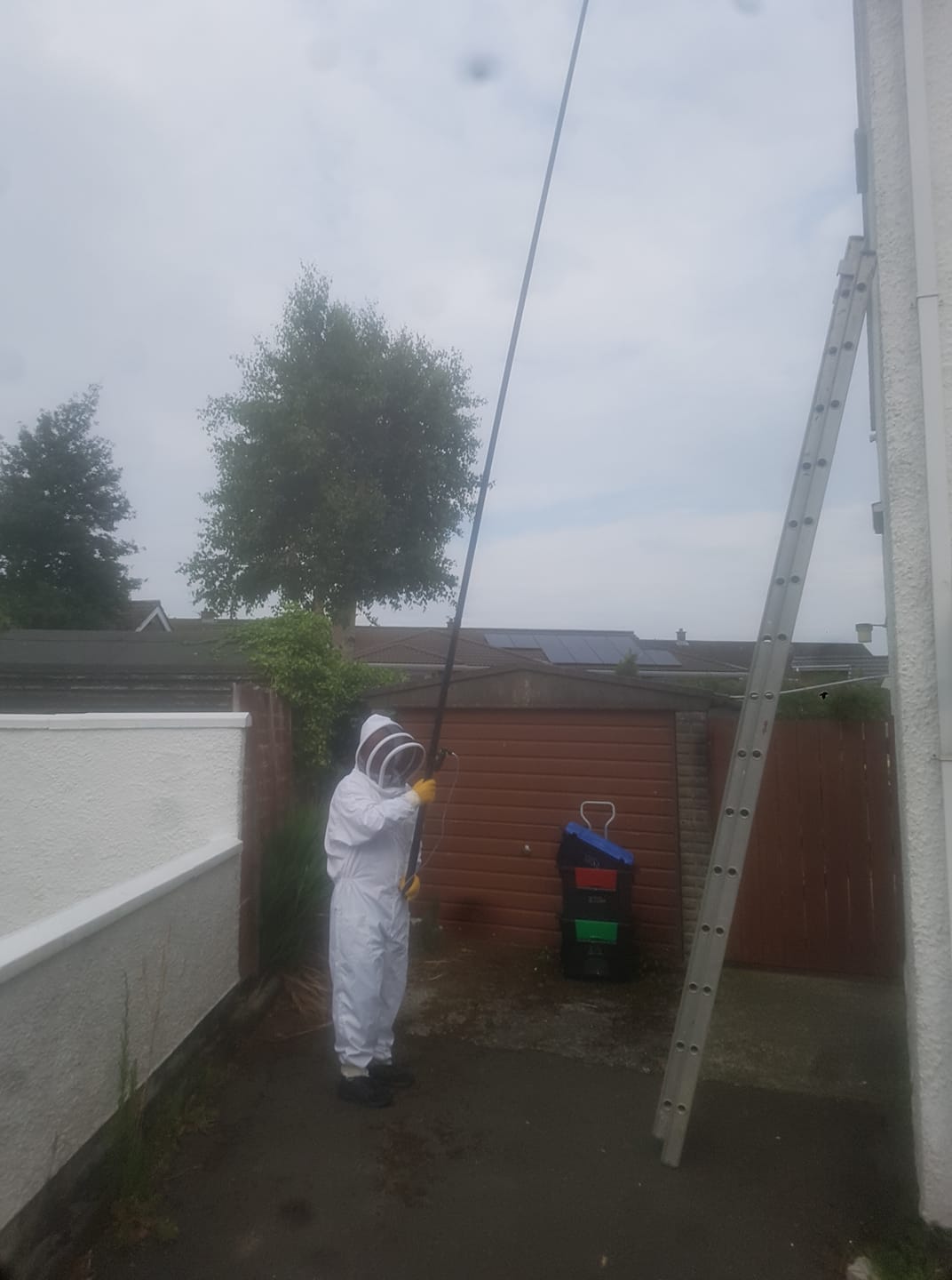 Pest Control Lisburn & Belfast - Flytech Pest Control