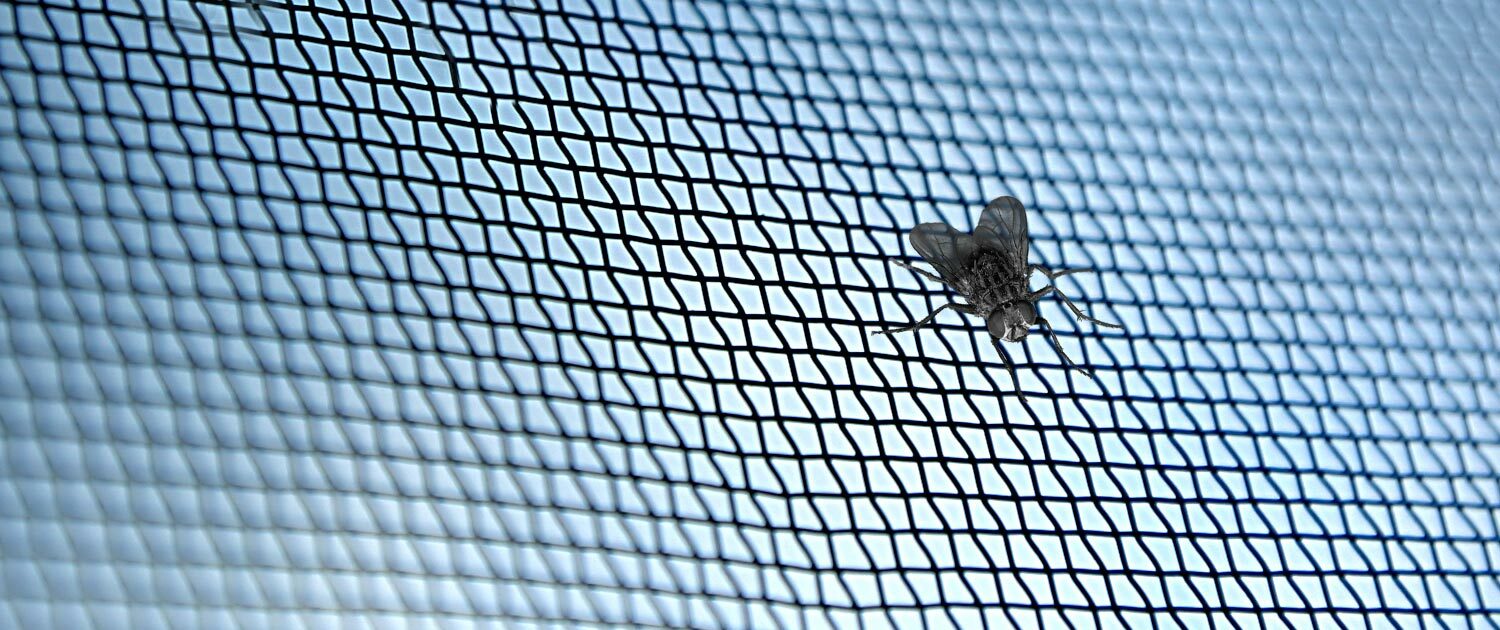Fly Screens For Windows | Lisburn and Belfast Installations | Flytech