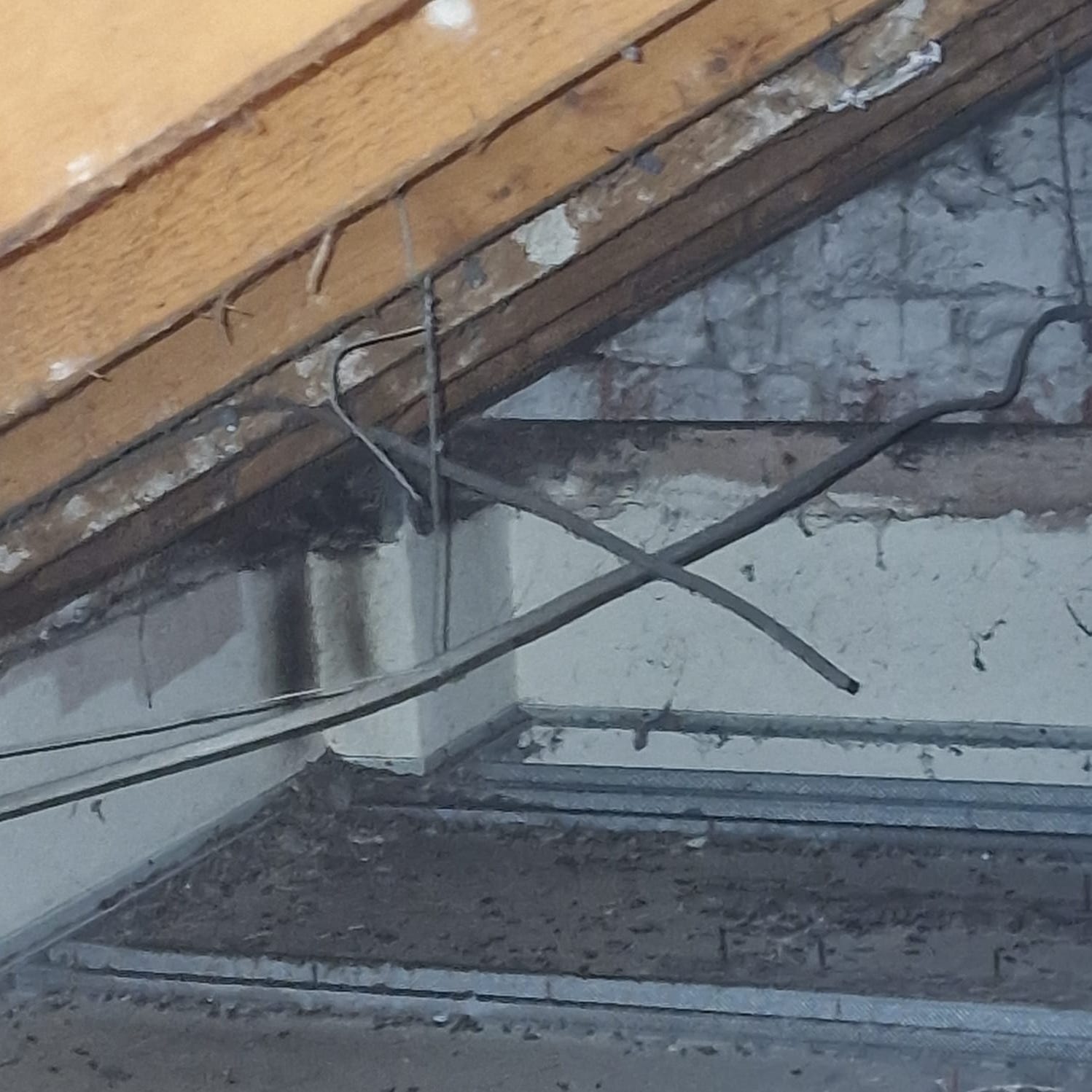 Loft Clearance Belfast - Flytech Pest Control