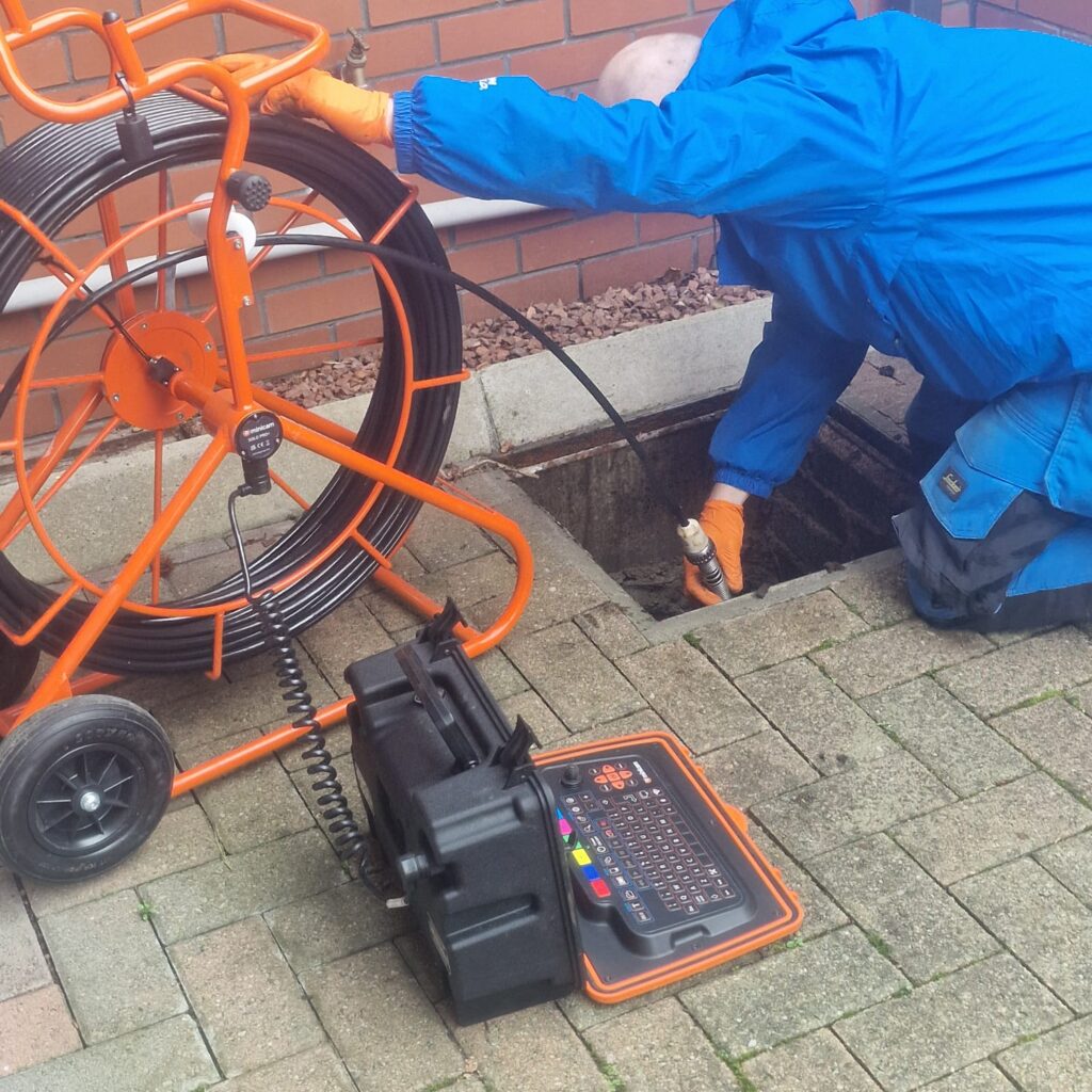 Rats In Drains: What To Do If You Suspect Rodents Are In Your Drainage ...