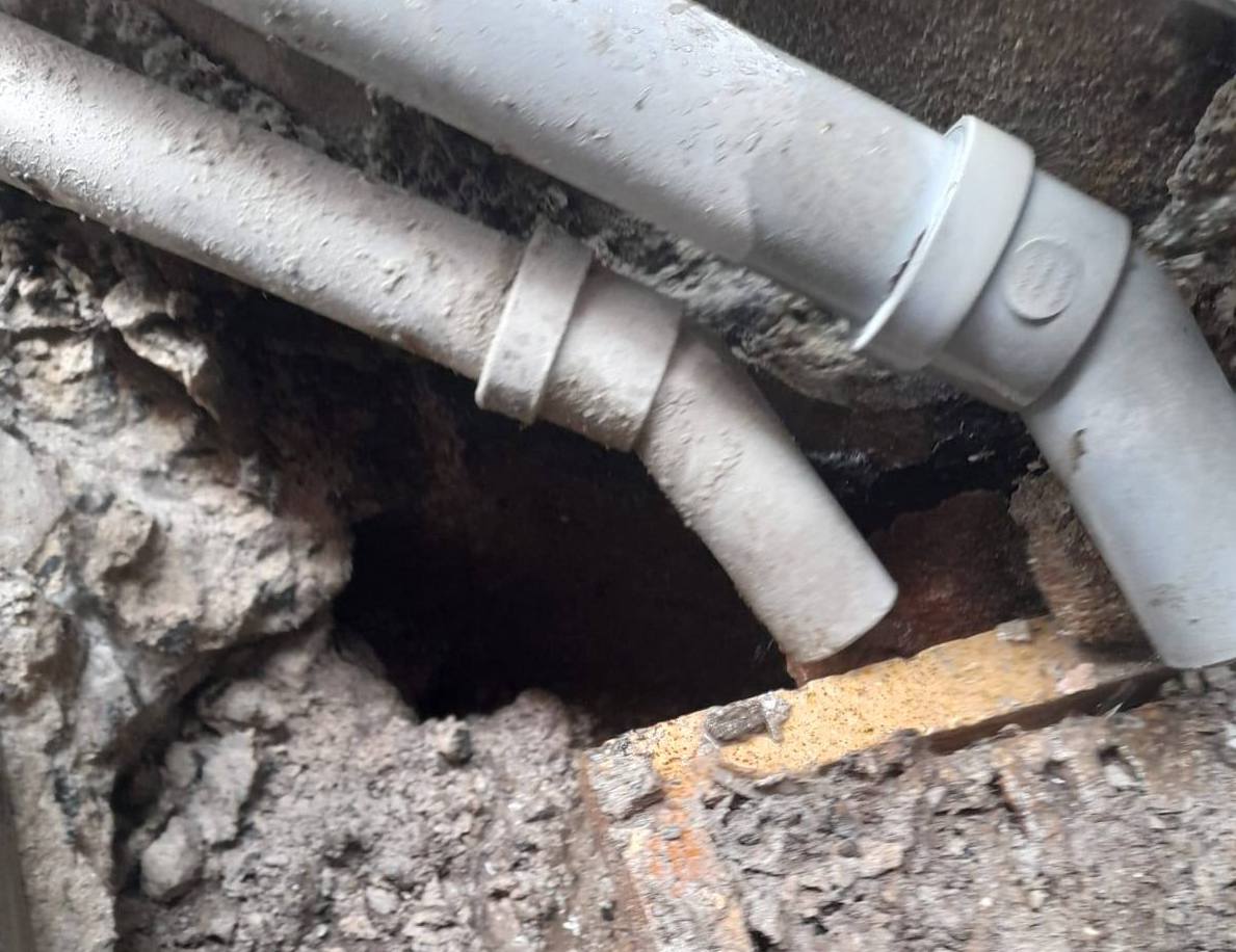 Rats In Drains: What To Do If You Suspect Rodents Are In Your Drainage ...